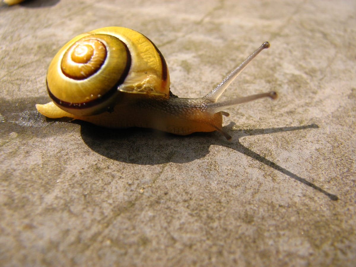 Investigating az-cli performance on the hosted Azure Pipelines and ...